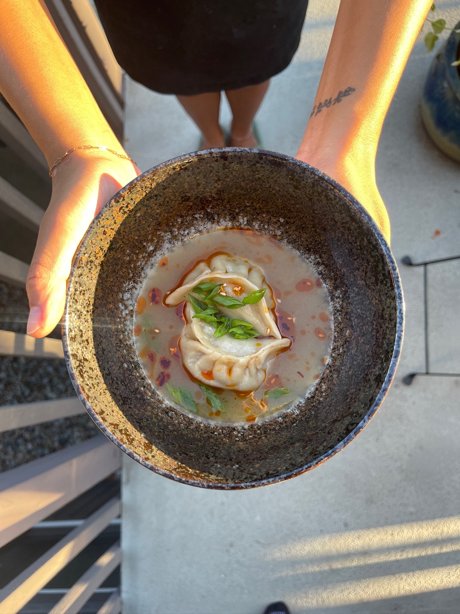 Shreeya's Easy Bison & Beef Dumpling Soup, by Shreeya Shrestha ...
